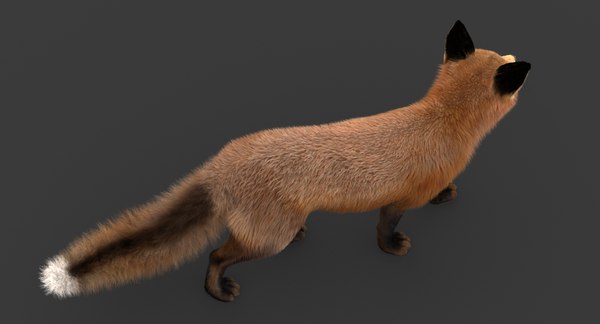 modelo 3d Fox (2) (RIG) (Piel) - TurboSquid 1215478