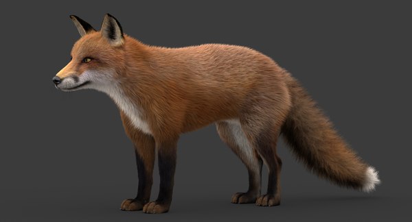 modelo 3d Fox (2) (RIG) (Piel) - TurboSquid 1215478