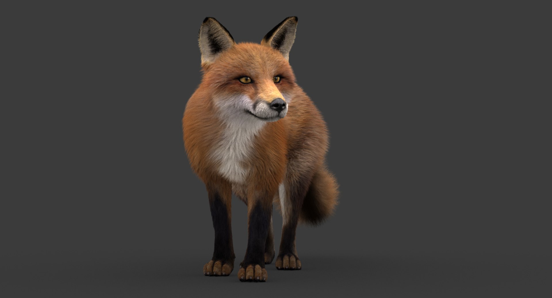 3D Model Fox Rigged Fur - TurboSquid 1215478