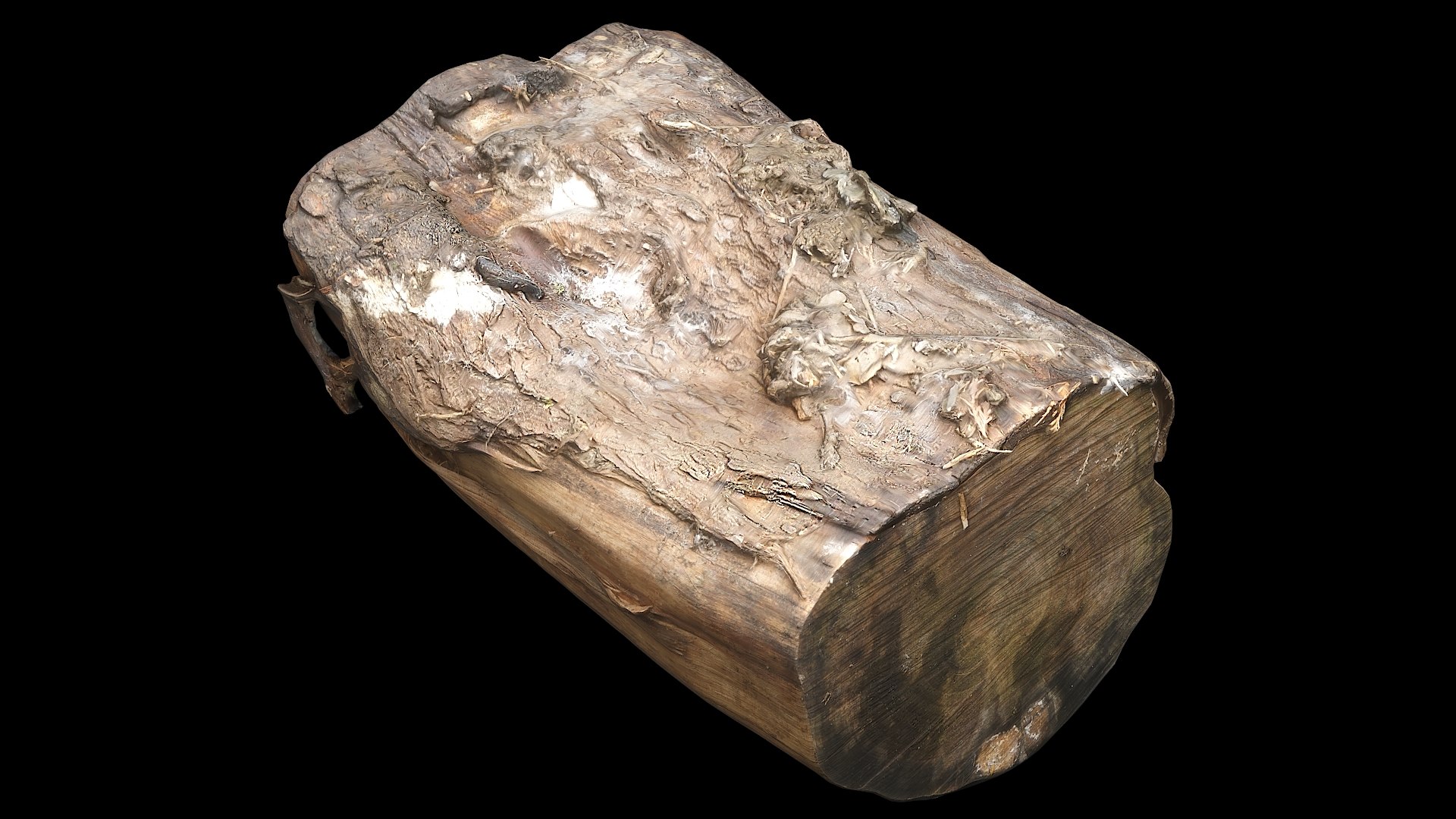 3D Tree Stump Collection 15 - TurboSquid 2158346