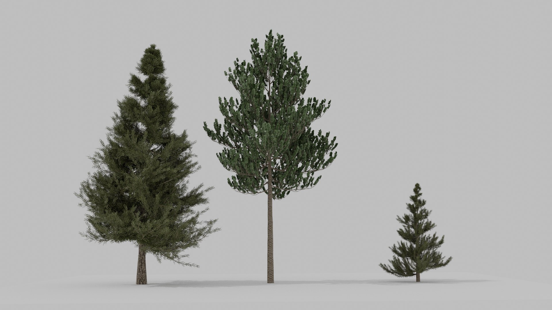 Free 3 Trees 3D Model - TurboSquid 1538515