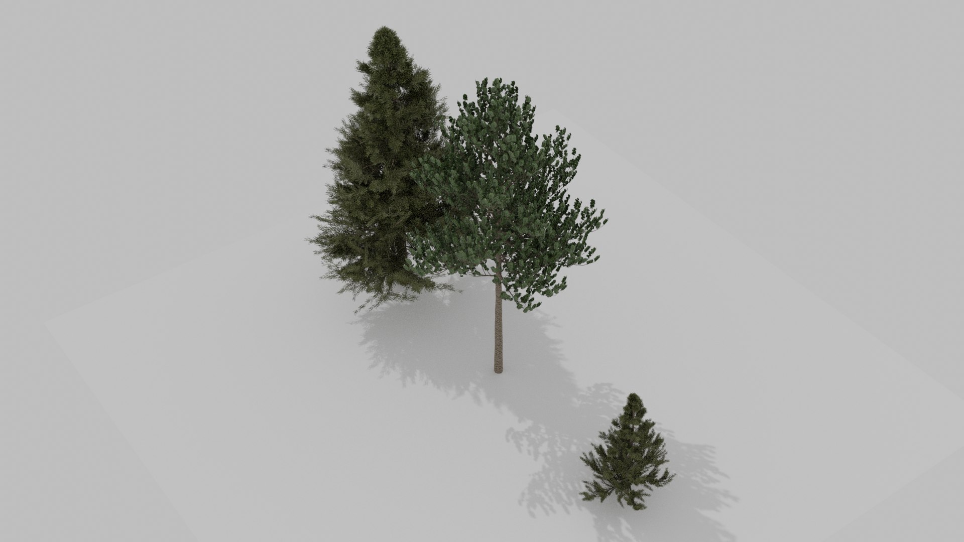 Free 3 Trees 3D Model - TurboSquid 1538515