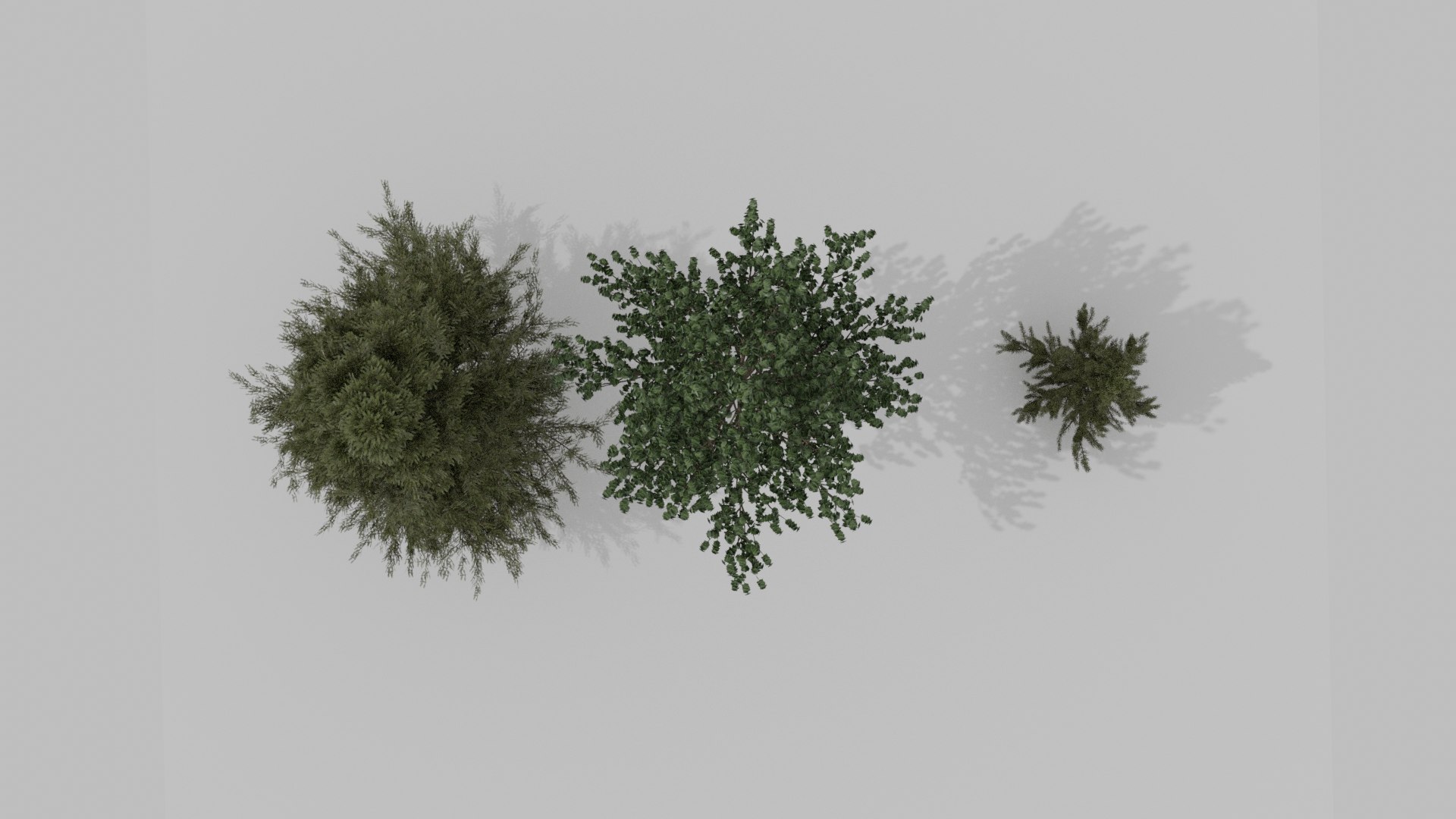 Free 3 Trees 3D Model - TurboSquid 1538515