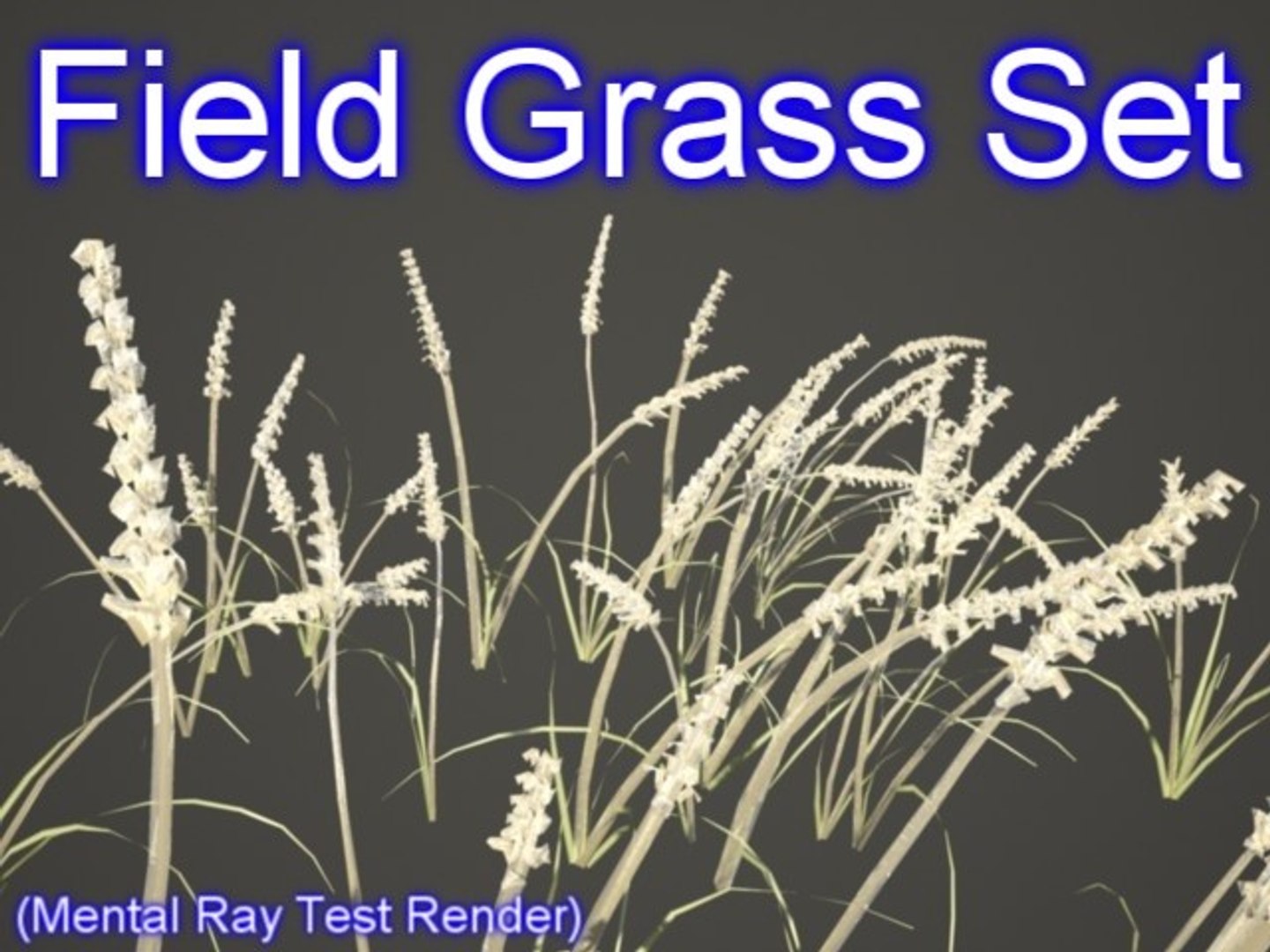 Set Field Grasses 3d Model