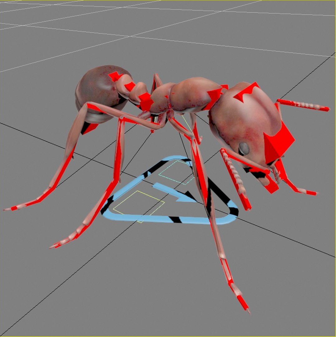 3d Model Red Ant
