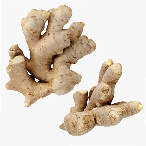 modelo 3d Ginger - TurboSquid 2094767