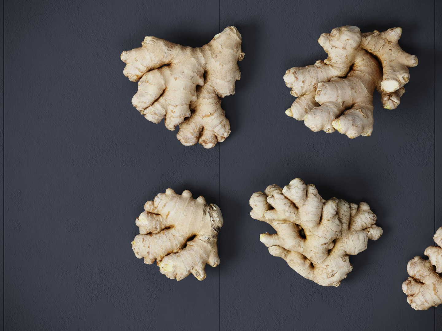 3D Model Ginger - TurboSquid 2094767