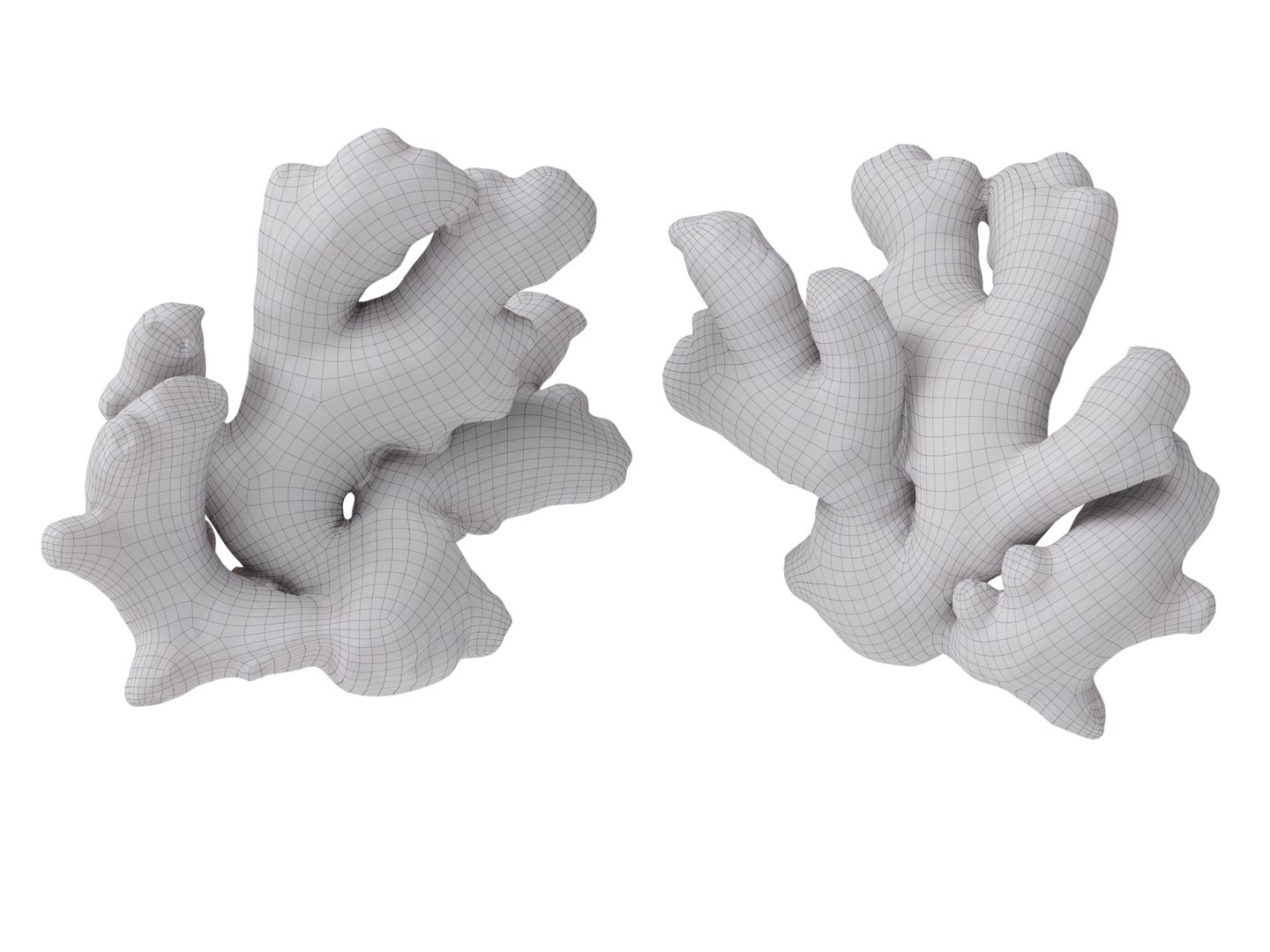 3D Model Ginger - TurboSquid 2094767