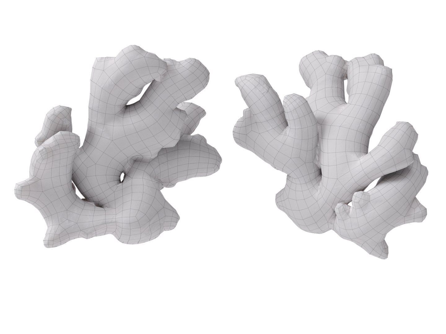 3D Model Ginger - TurboSquid 2094767