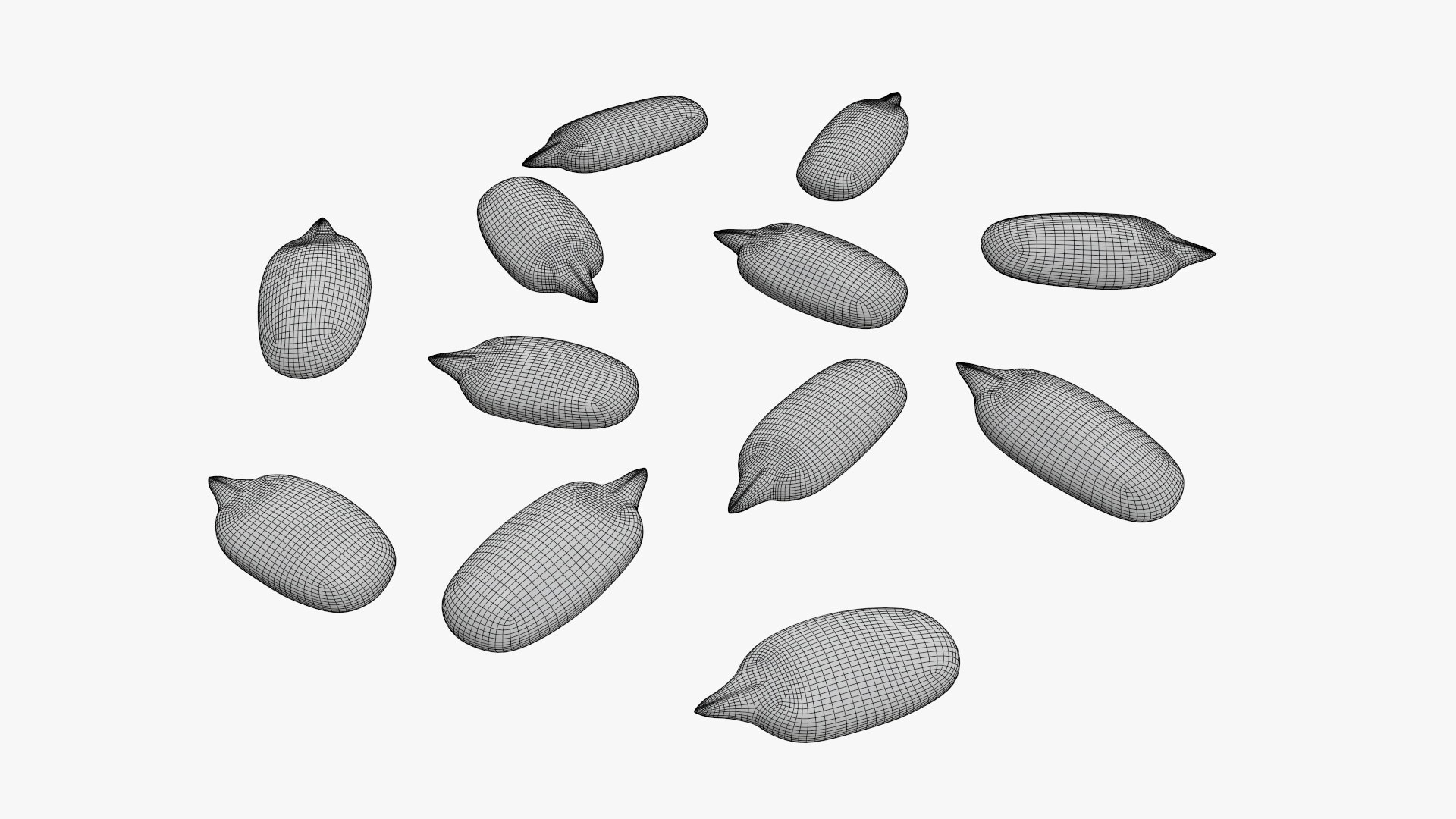 3D Seed Sunflower - TurboSquid 1621322