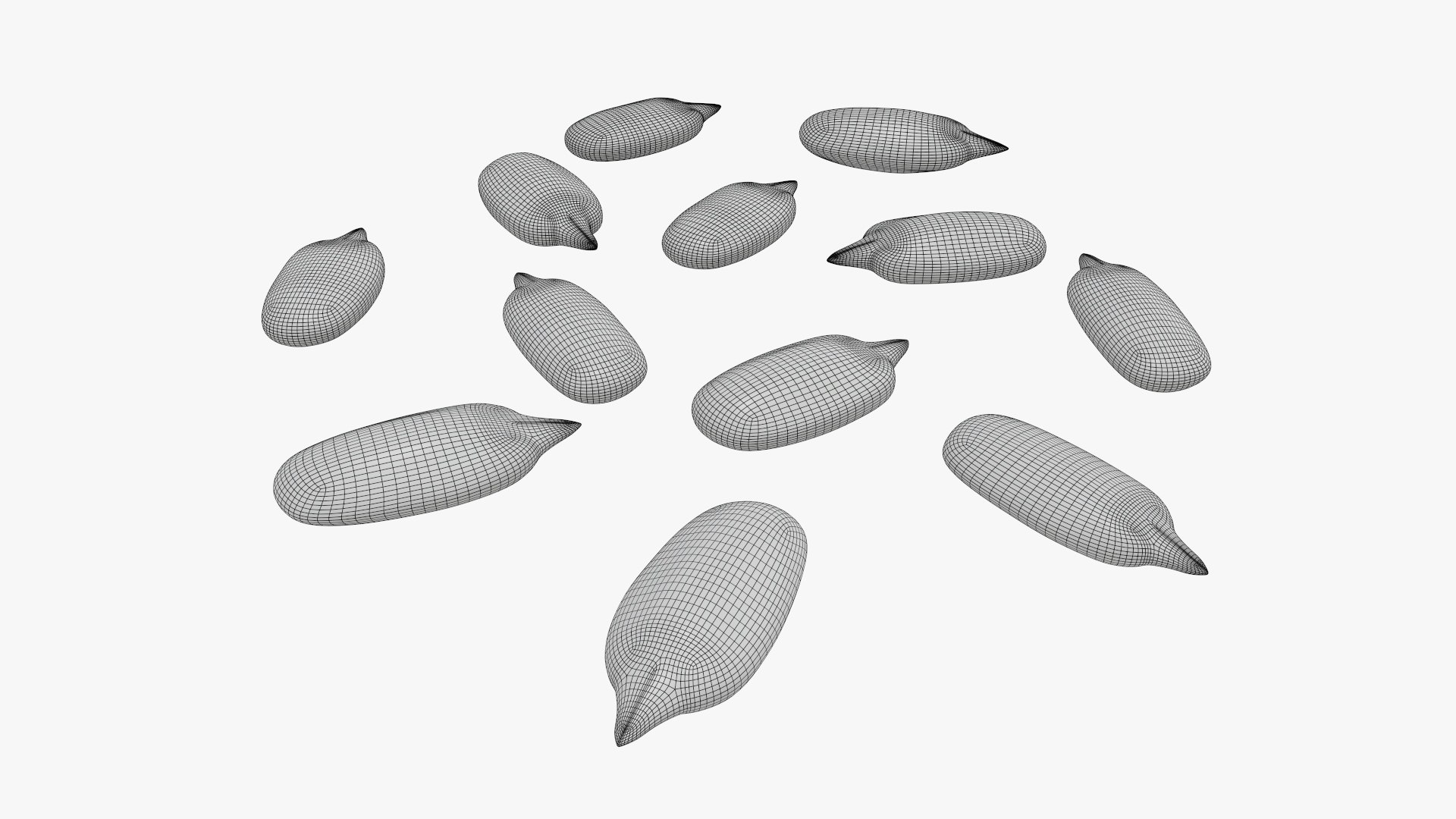 3D Seed Sunflower - TurboSquid 1621322