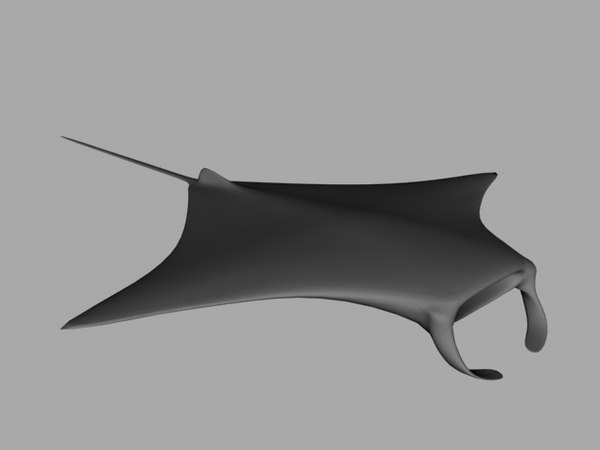 Free Manta Ray 3D Models for Download | TurboSquid