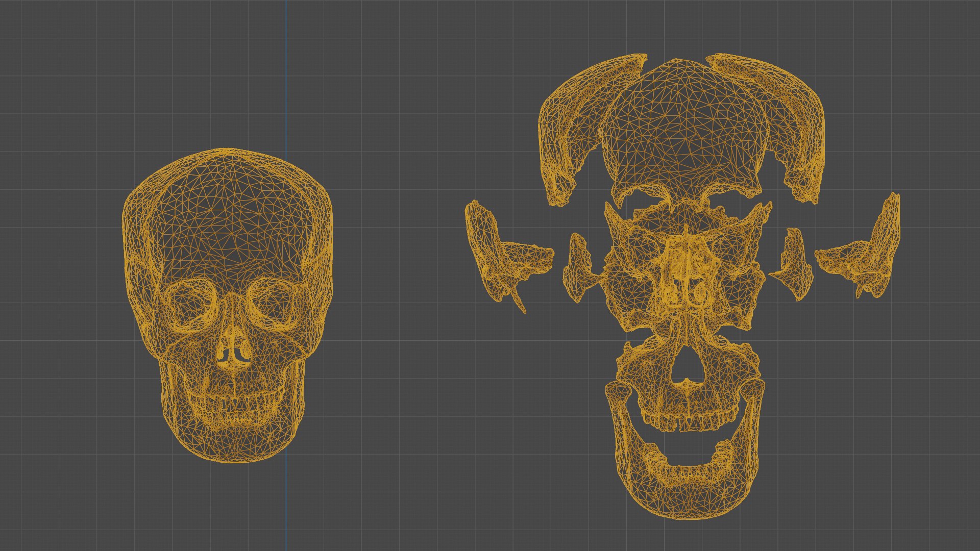 Human Skull - Medically Accurate 3D Model - TurboSquid 2143656
