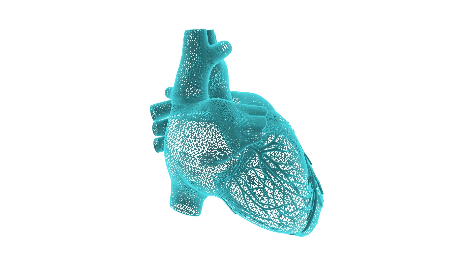 Realistic Human Heart 3D Model - TurboSquid 1596373