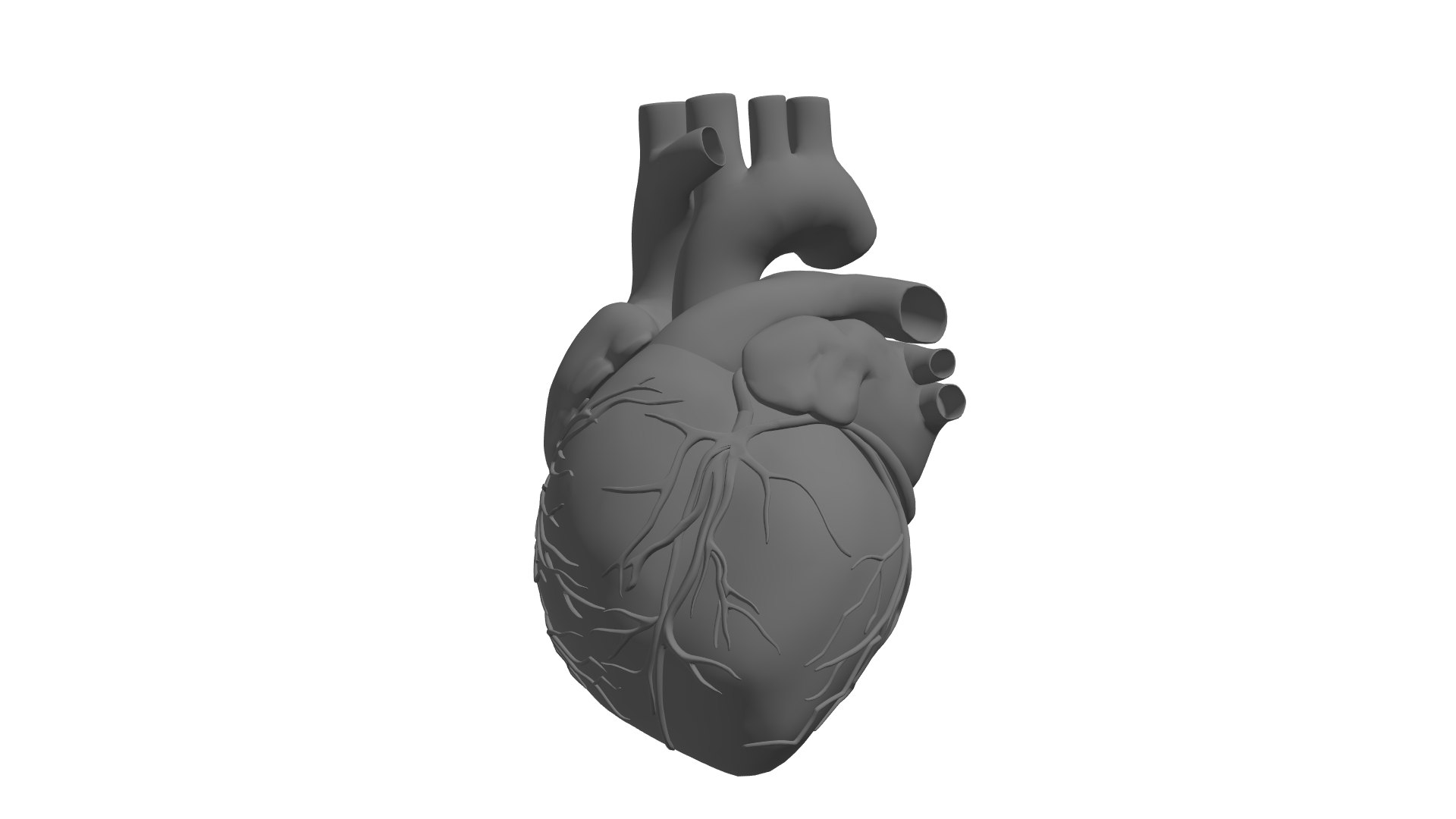 Realistic Human Heart 3D Model - TurboSquid 1596373