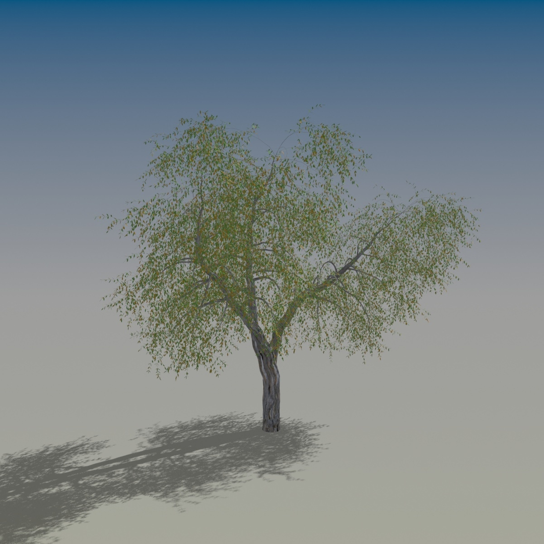 max realistic ash tree