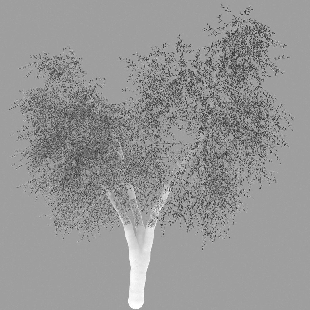 max realistic ash tree