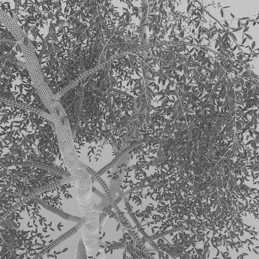 max realistic ash tree