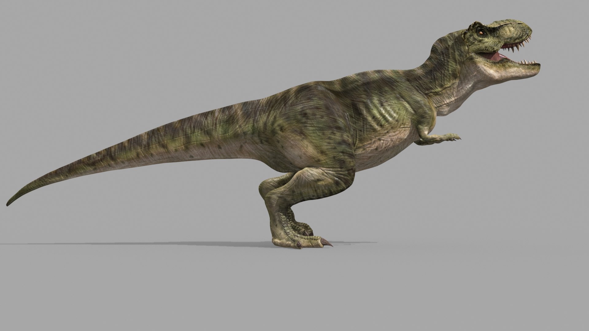 T Rex Premium 8K - fully animated 3D - TurboSquid 1909791