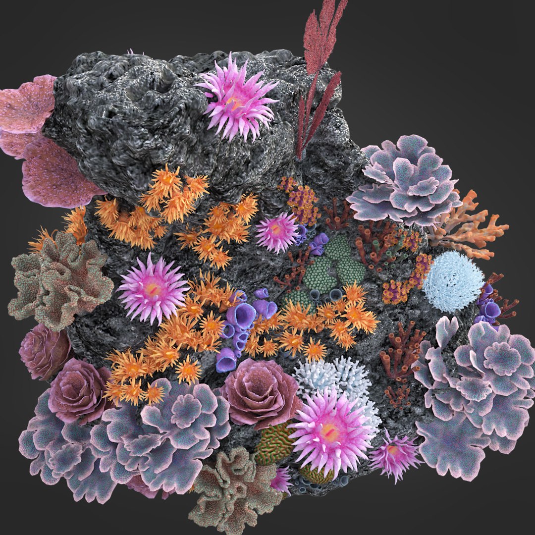 3D N 01 - TurboSquid 1269169