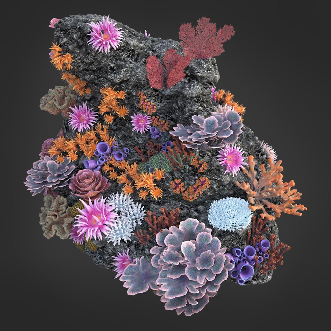 3D N 01 - TurboSquid 1269169