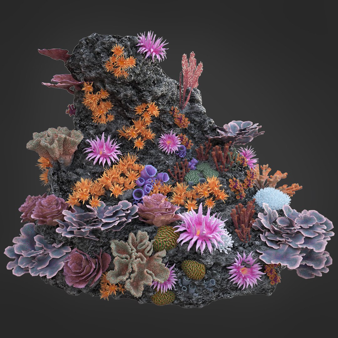 3D N 01 - TurboSquid 1269169