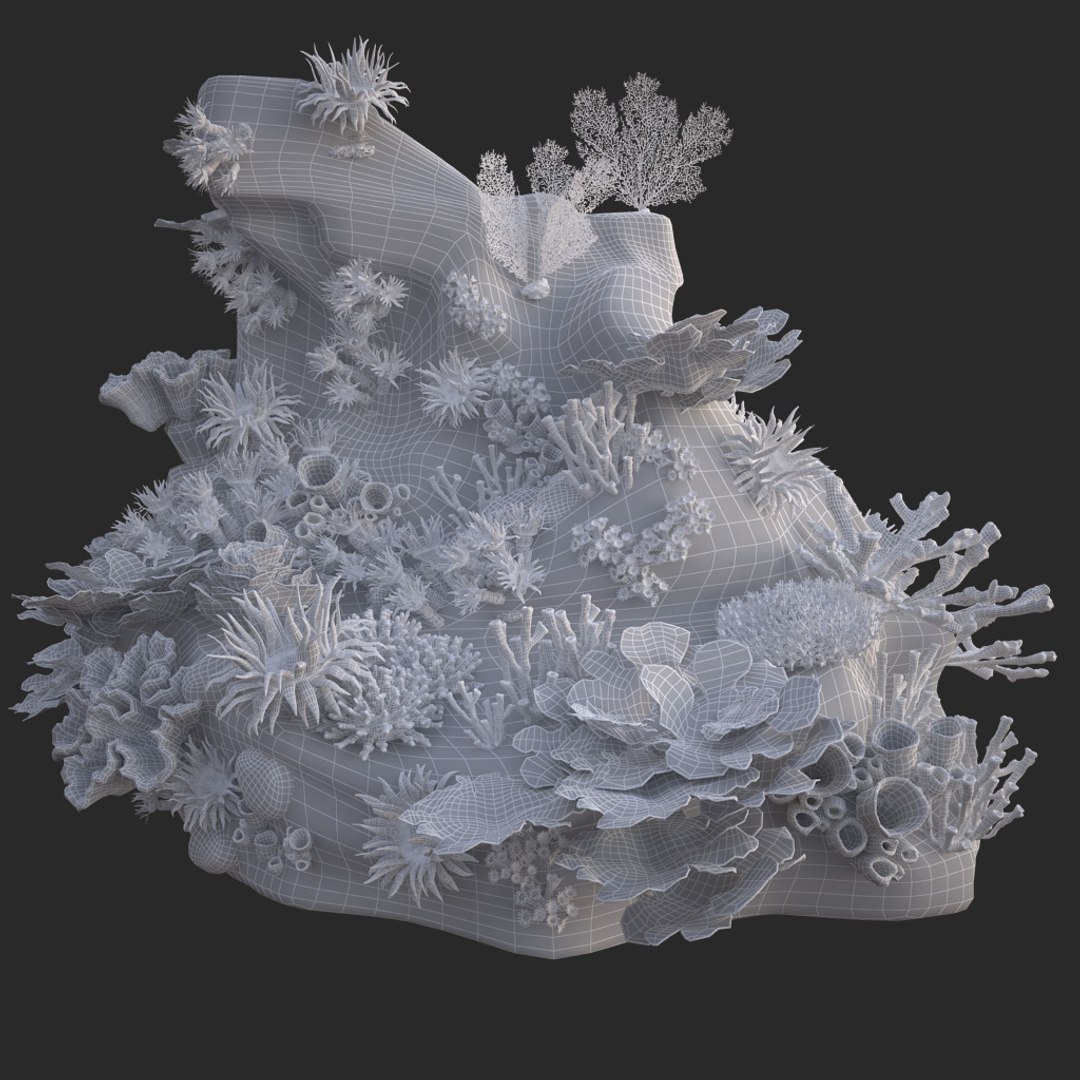 3D N 01 - TurboSquid 1269169