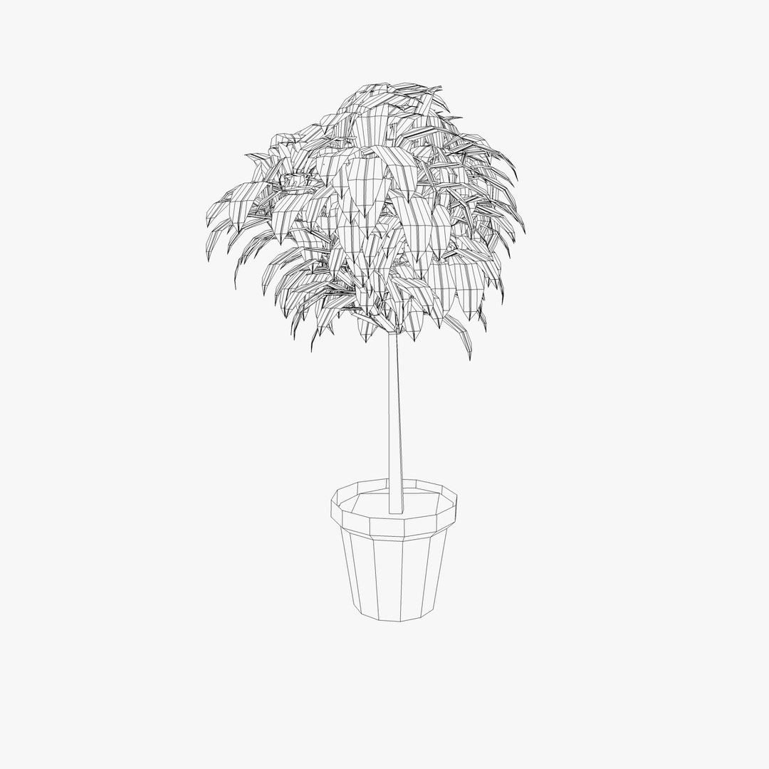 3d Cartoon Plant Model