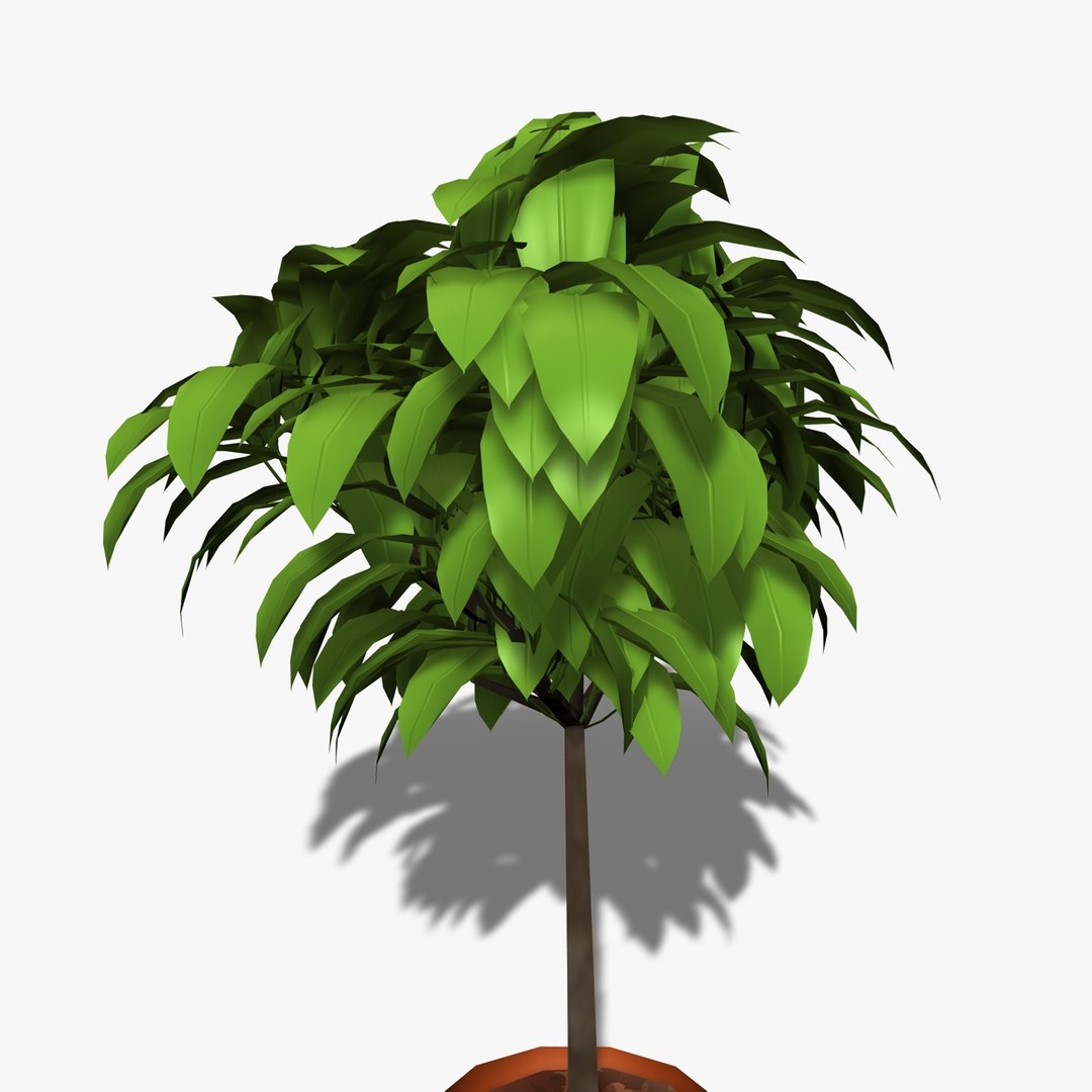 3d Cartoon Plant Model