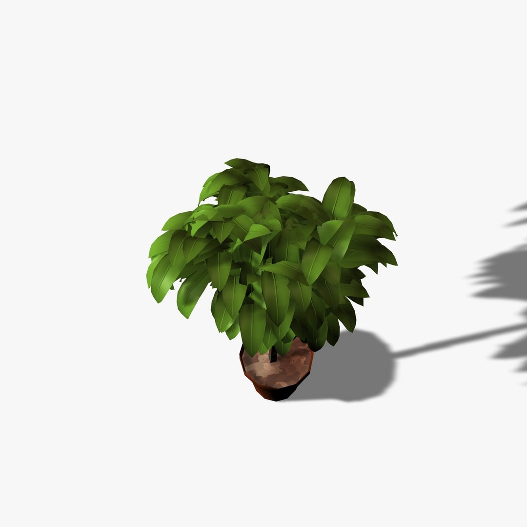3d Cartoon Plant Model
