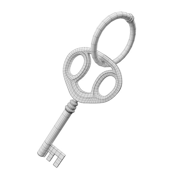 Skeleton key 3d model 3D model - TurboSquid 1982383