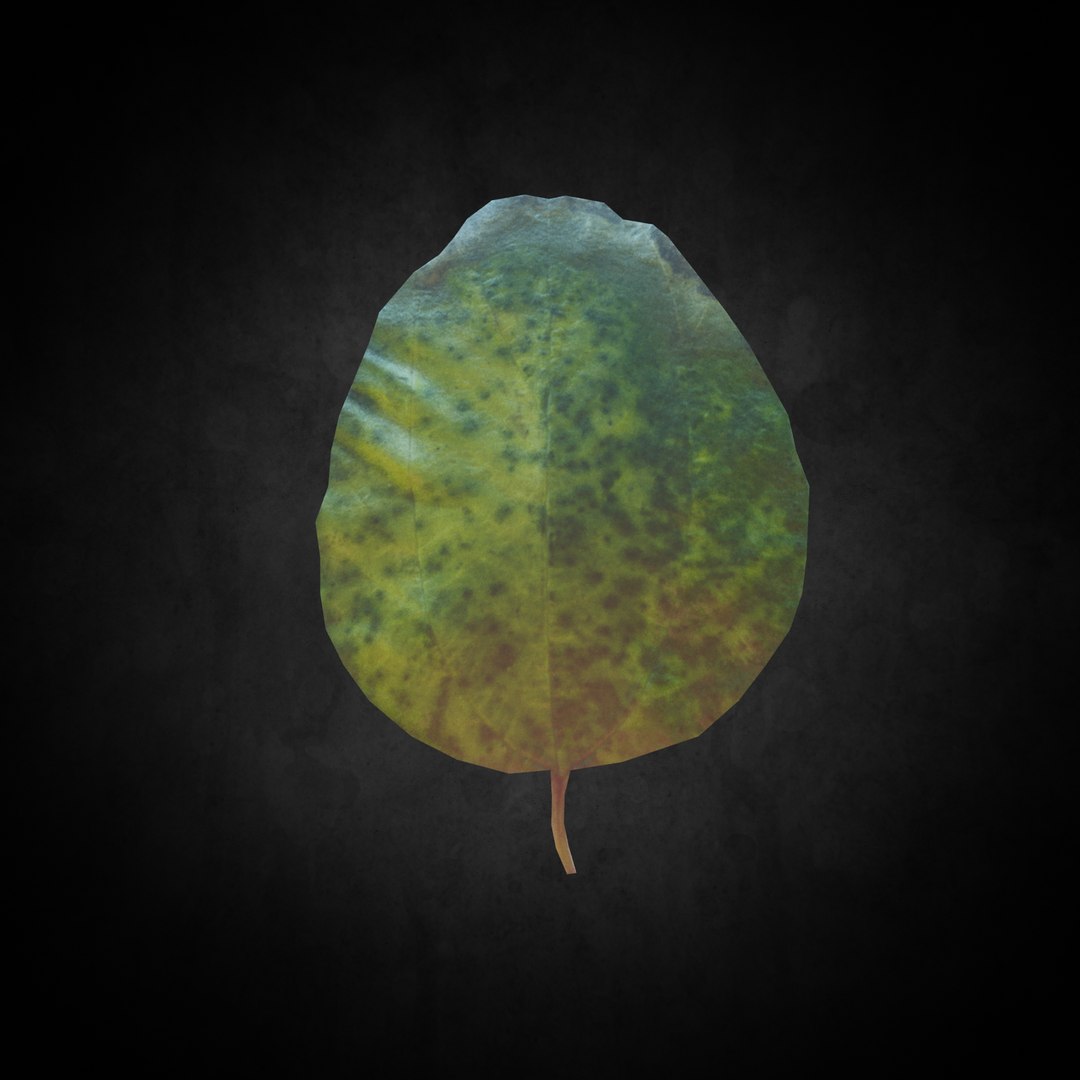 Leaf 3D Model - TurboSquid 1653004