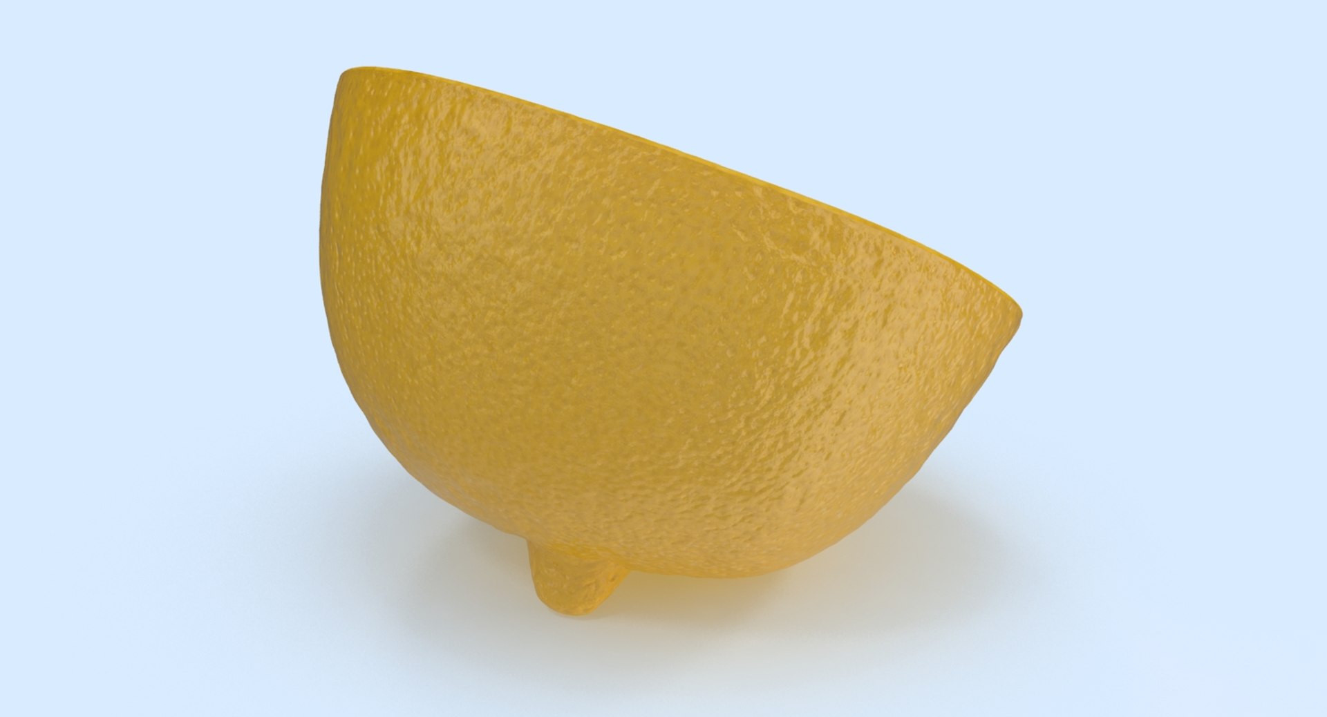 3d Model Lemon Cross Section