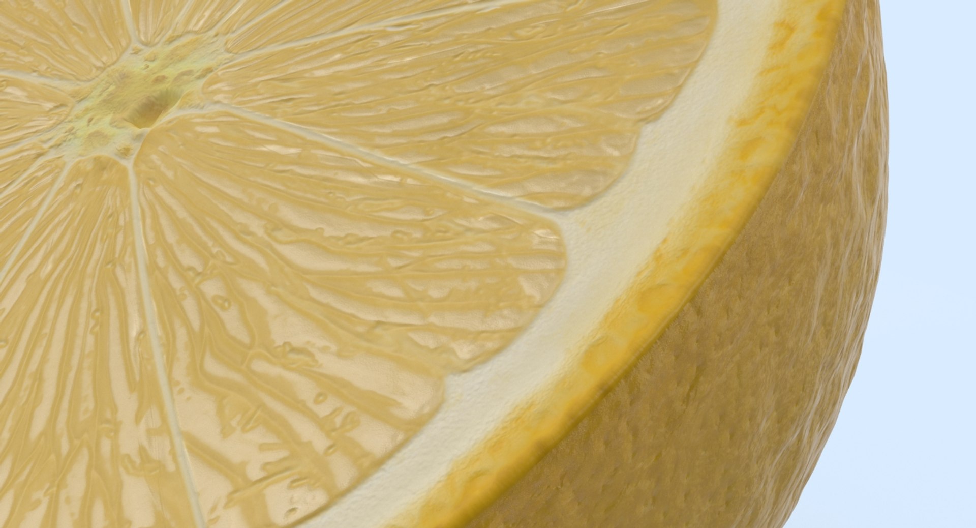 3d Model Lemon Cross Section