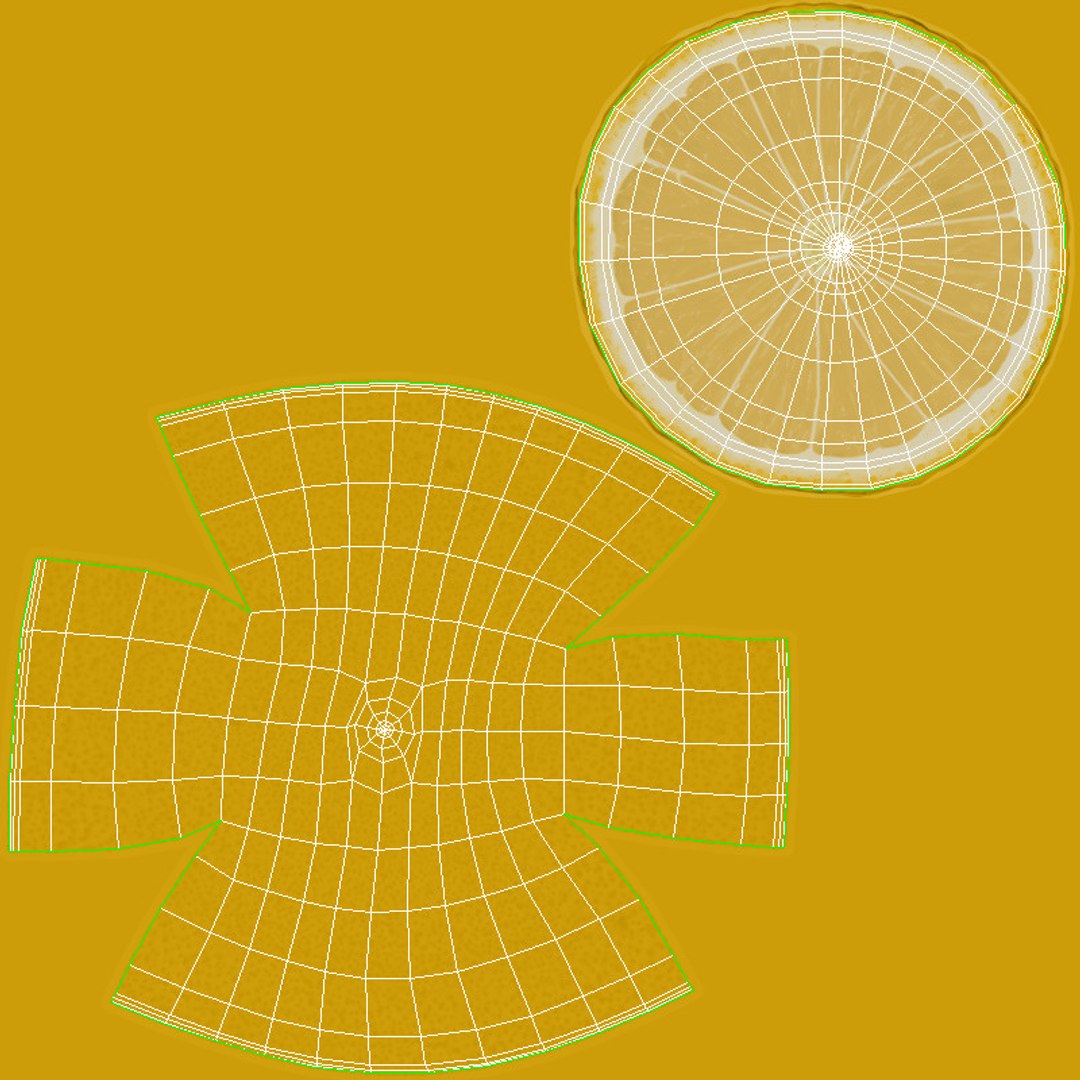 3d Model Lemon Cross Section