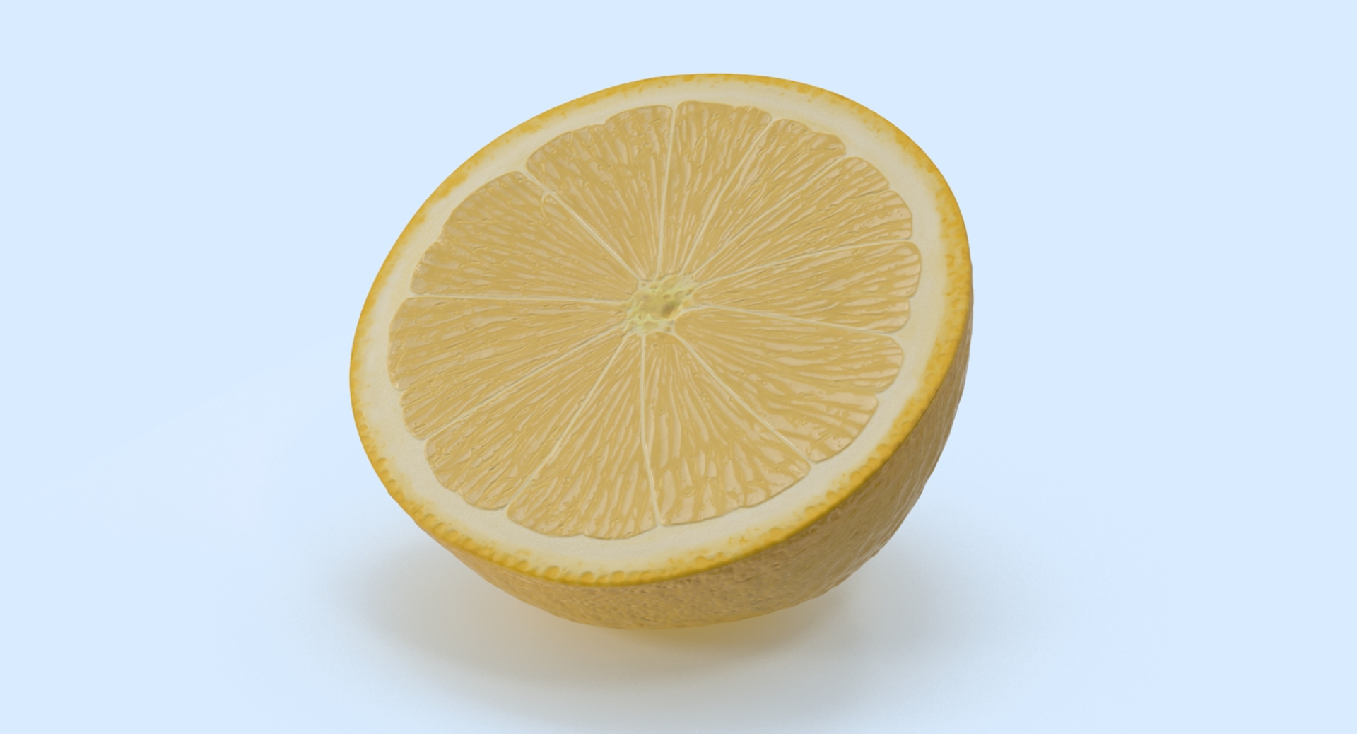 3d Model Lemon Cross Section