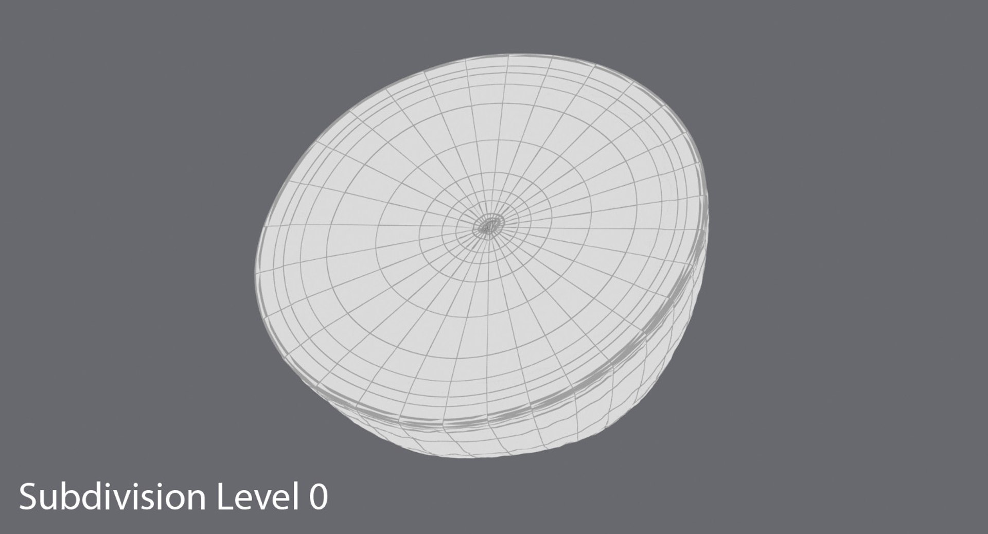 3d Model Lemon Cross Section