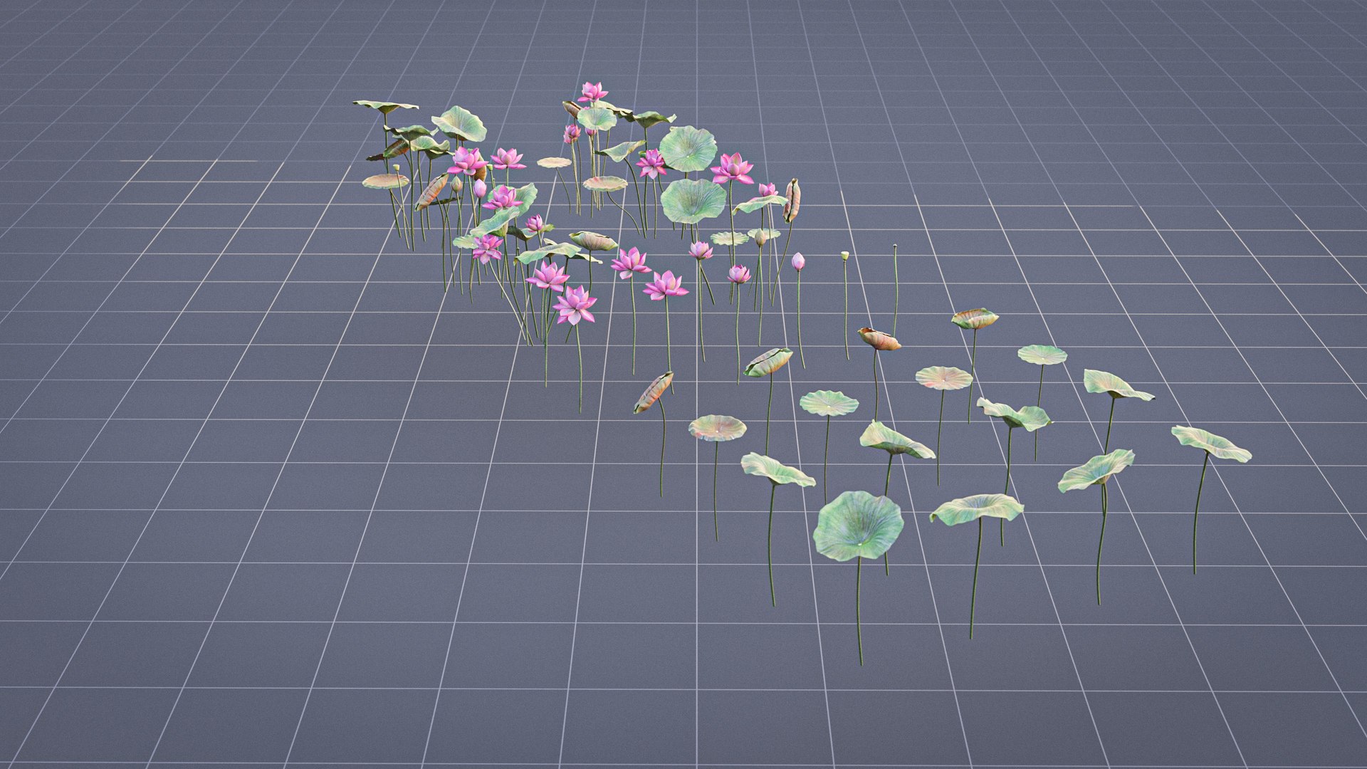 Realistic Lotus 3D - TurboSquid 1763014