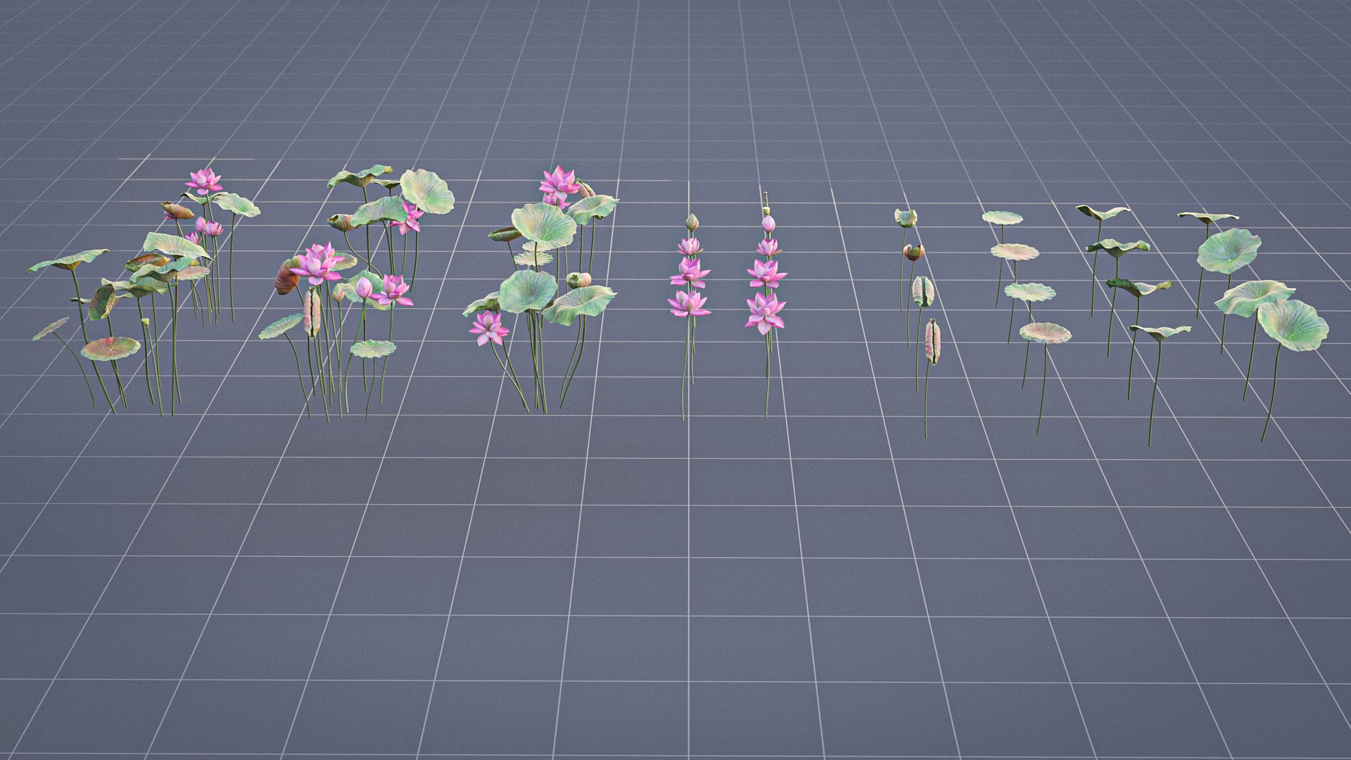 Realistic Lotus 3D - TurboSquid 1763014