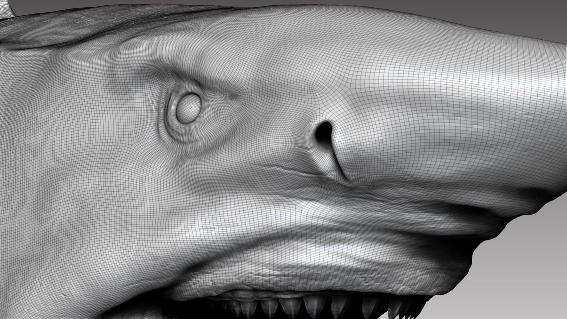 Megalodon Sculpt Project 3D - TurboSquid 1793232