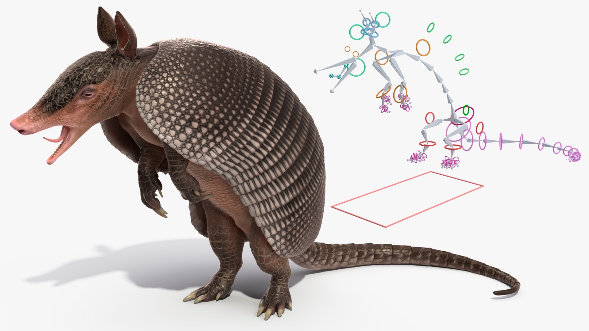 Armadillo Black Rigged 3d Turbosquid 2248577