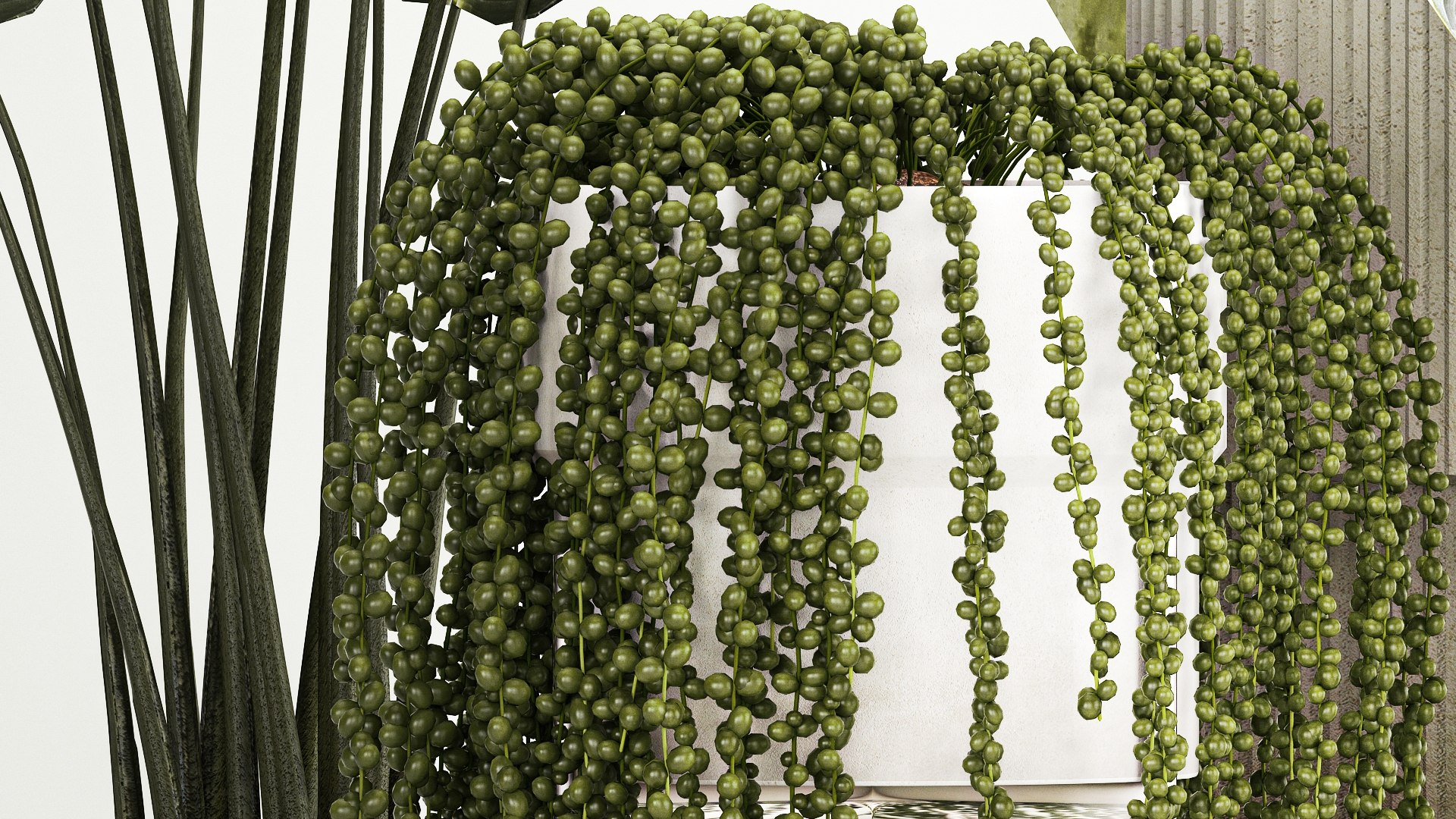 Beautiful Strelitzia and Calathea lutea plants in a flower pot 1322 3D ...