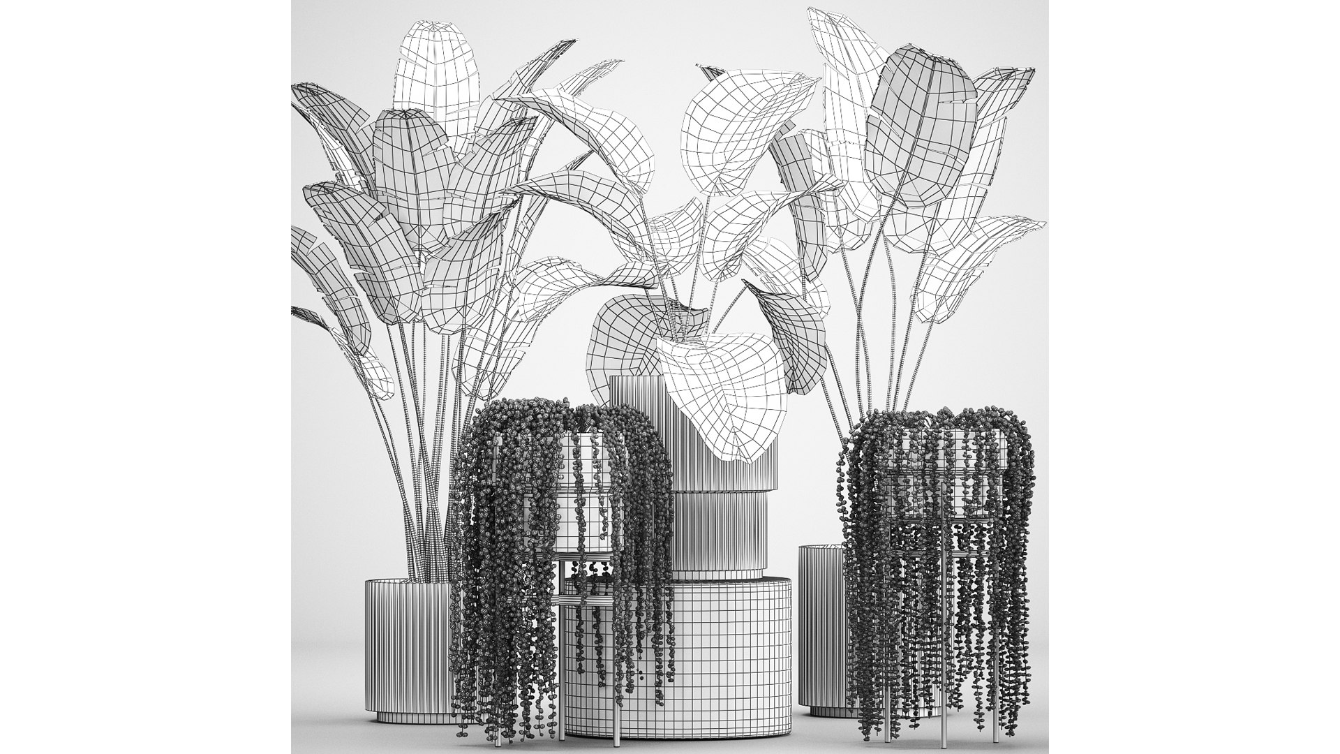 Beautiful Strelitzia and Calathea lutea plants in a flower pot 1322 3D ...