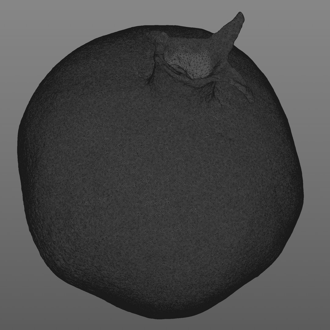 Garnet Fruit 3D Model - TurboSquid 1429539