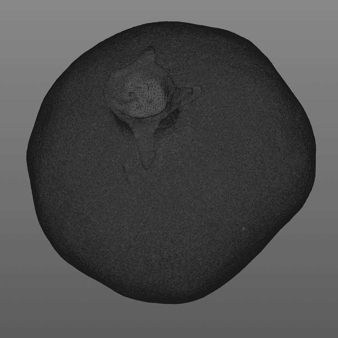 Garnet Fruit 3D Model - TurboSquid 1429539