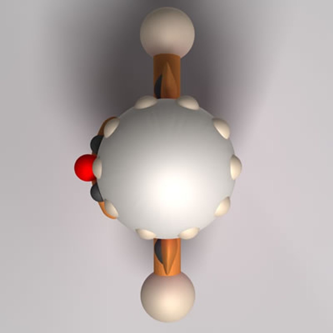 Cephalopod Cartoon Character 3d Obj