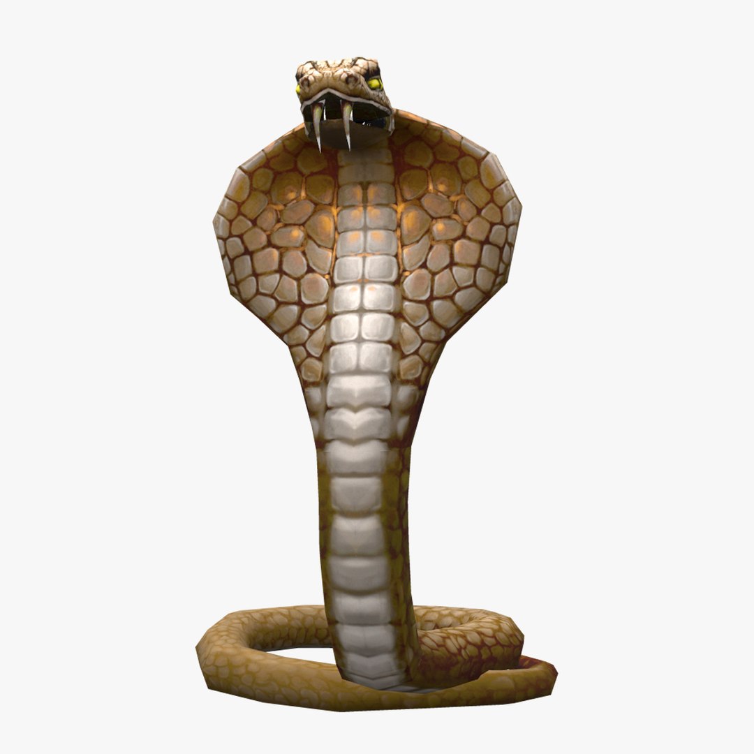 3D Animated Cobra Snake - TurboSquid 2189980