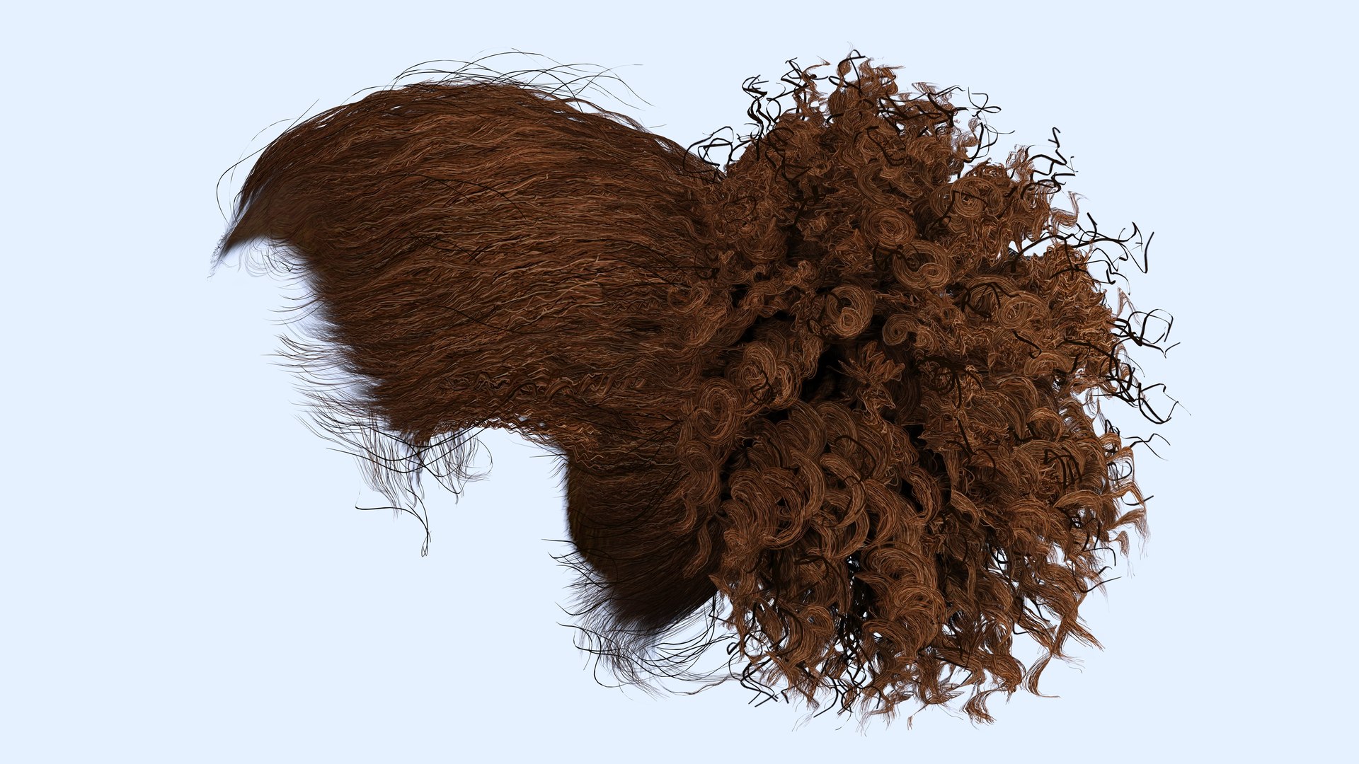 Realistic Curly Ponytail Hair model - TurboSquid 2133375