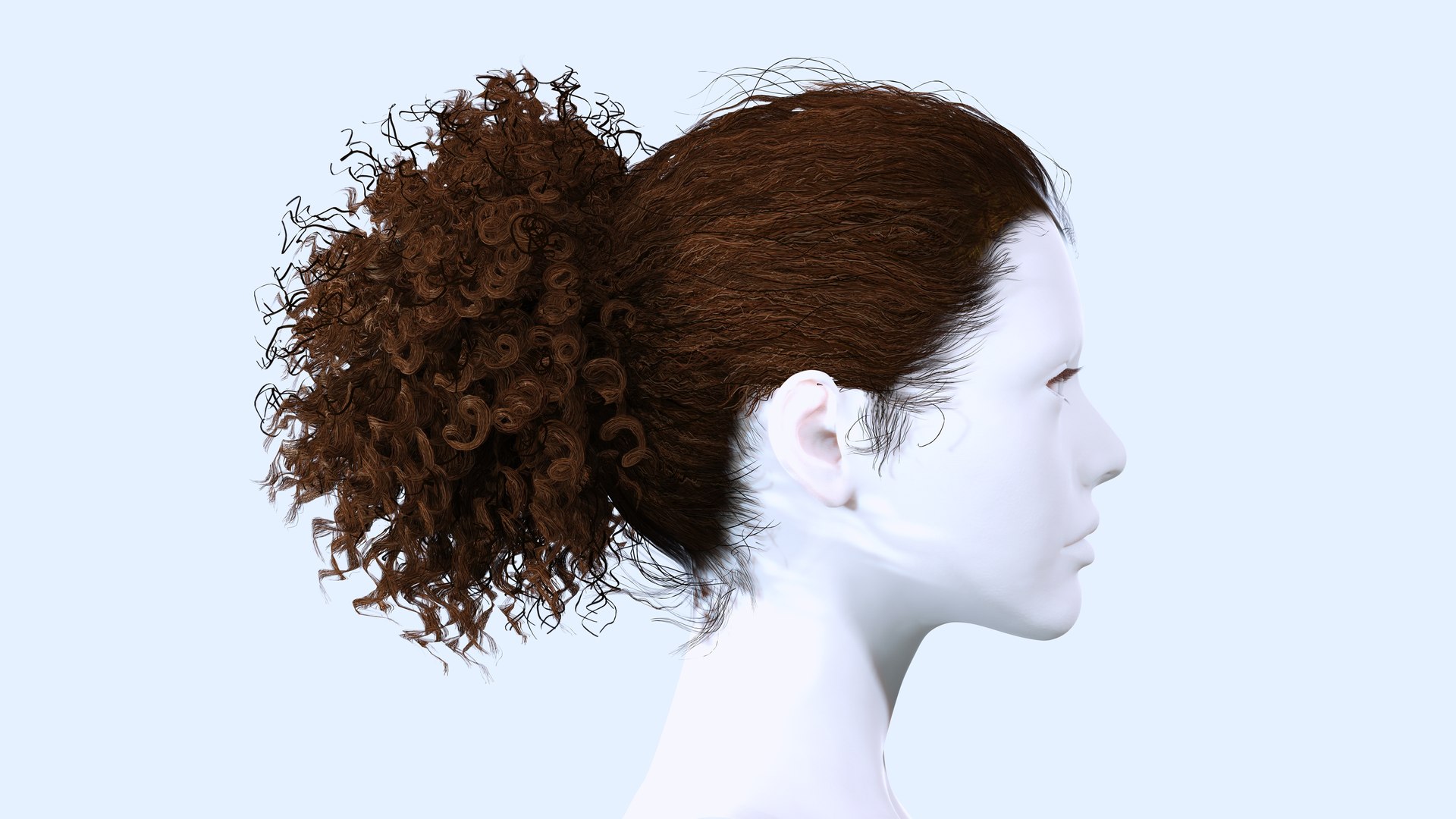 Realistic Curly Ponytail Hair model - TurboSquid 2133375