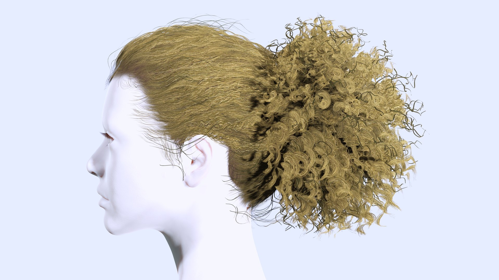 Realistic Curly Ponytail Hair model - TurboSquid 2133375